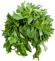 Fresh Vegetables – ABIGLOBAL FOODS ONLINE LTD