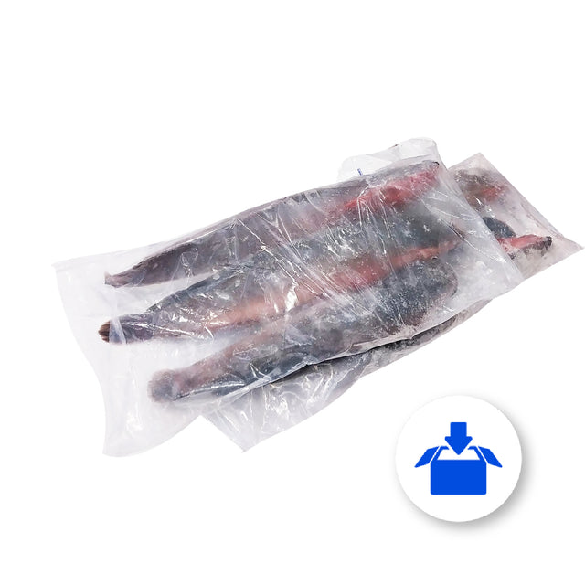 FROZEN CATFISH 800/1200 – ABIGLOBAL FOODS ONLINE LTD